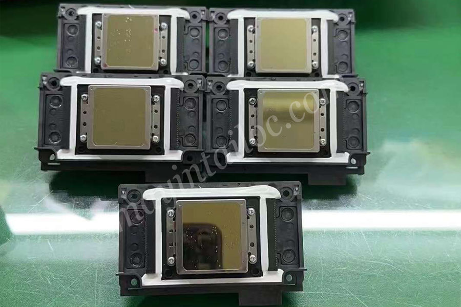 Đầu Phun EPSON XP600 Chính Hãng – mayintailoc.com