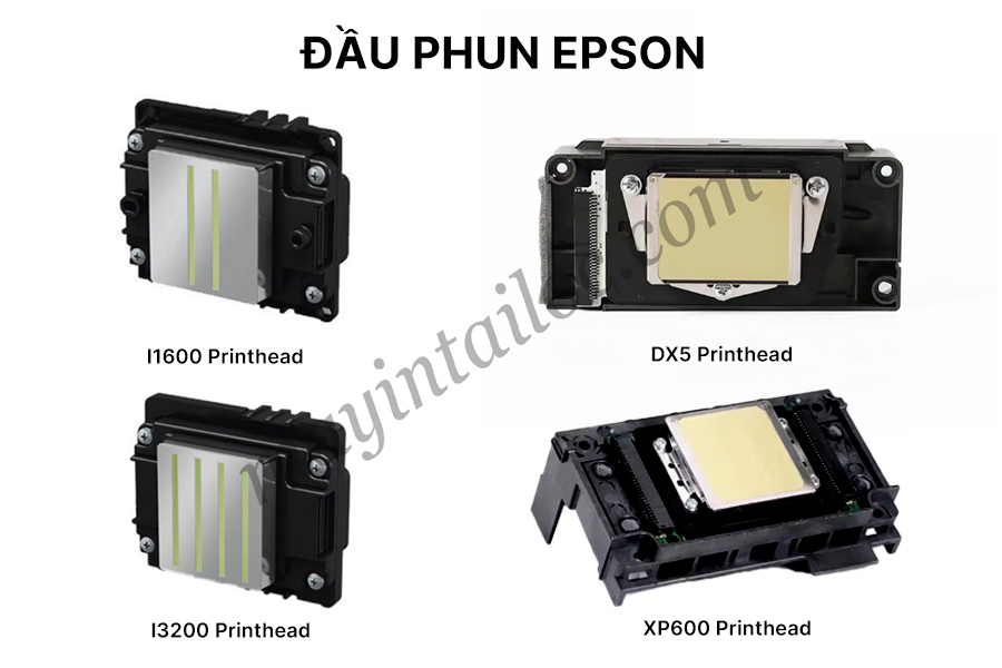 So sánh đầu phun DX5 và I3200 chính hãng Epson – mayintailoc.com